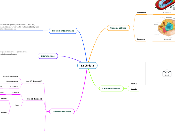 SergioDuque_La Cèl·lula - Mind Map